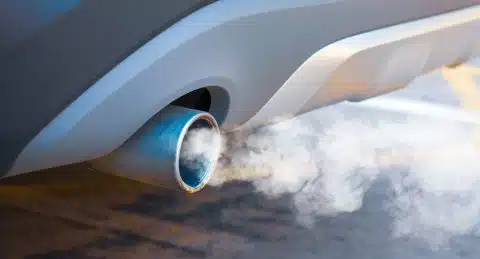 Euronorm – was ist das und was bedeuten die Werte?